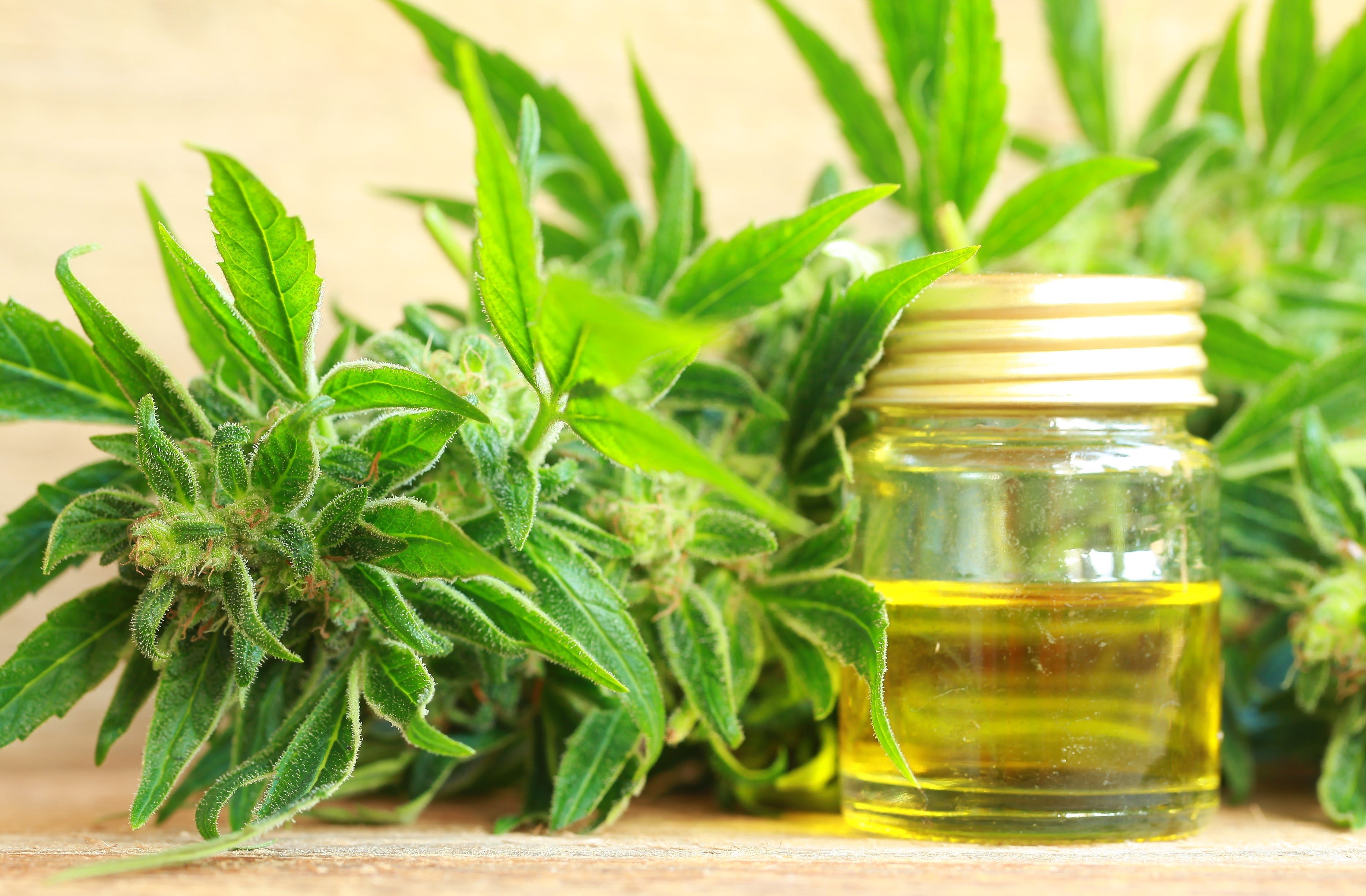 Botanical Extract – CLEAR Solutions Inc.